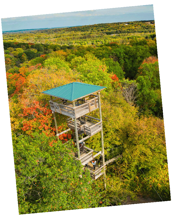 #1 Zipline Tour and Adventure Park in Minnesota | Kerfoot Canopy Tour